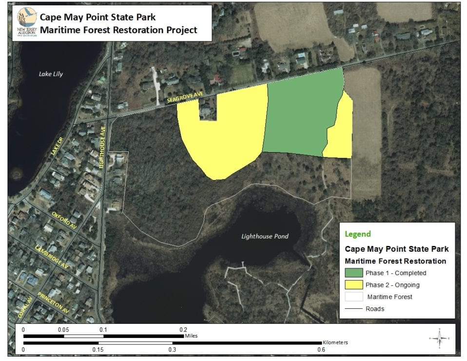 Cape May Point | New Jersey Audubon