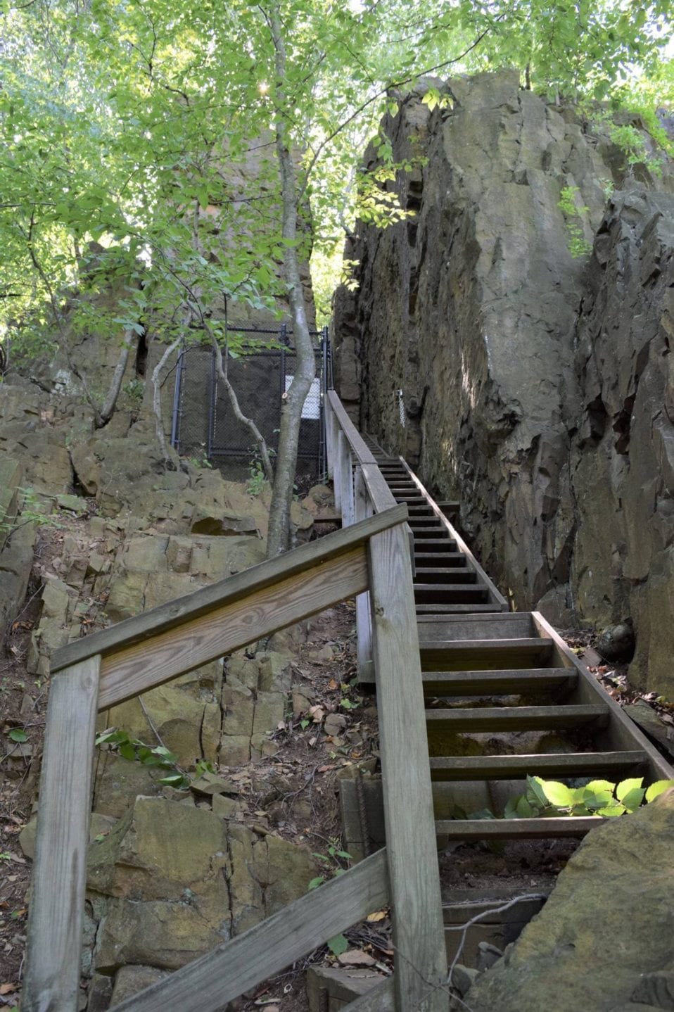 Montclair Hawkwatch | New Jersey Audubon