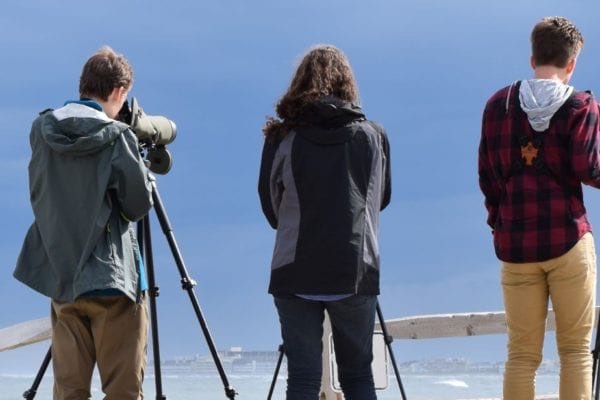 New Jersey Audubon – Making New Jersey a Better Place for People and ...