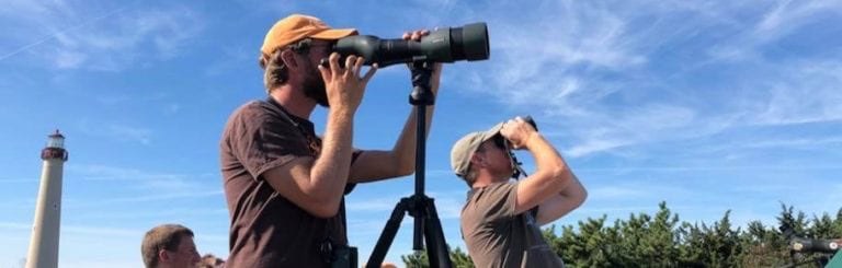 Migration Watches | New Jersey Audubon