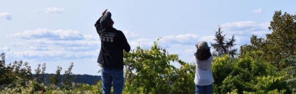 Migration Watches | New Jersey Audubon