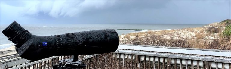 Migration Watches | New Jersey Audubon