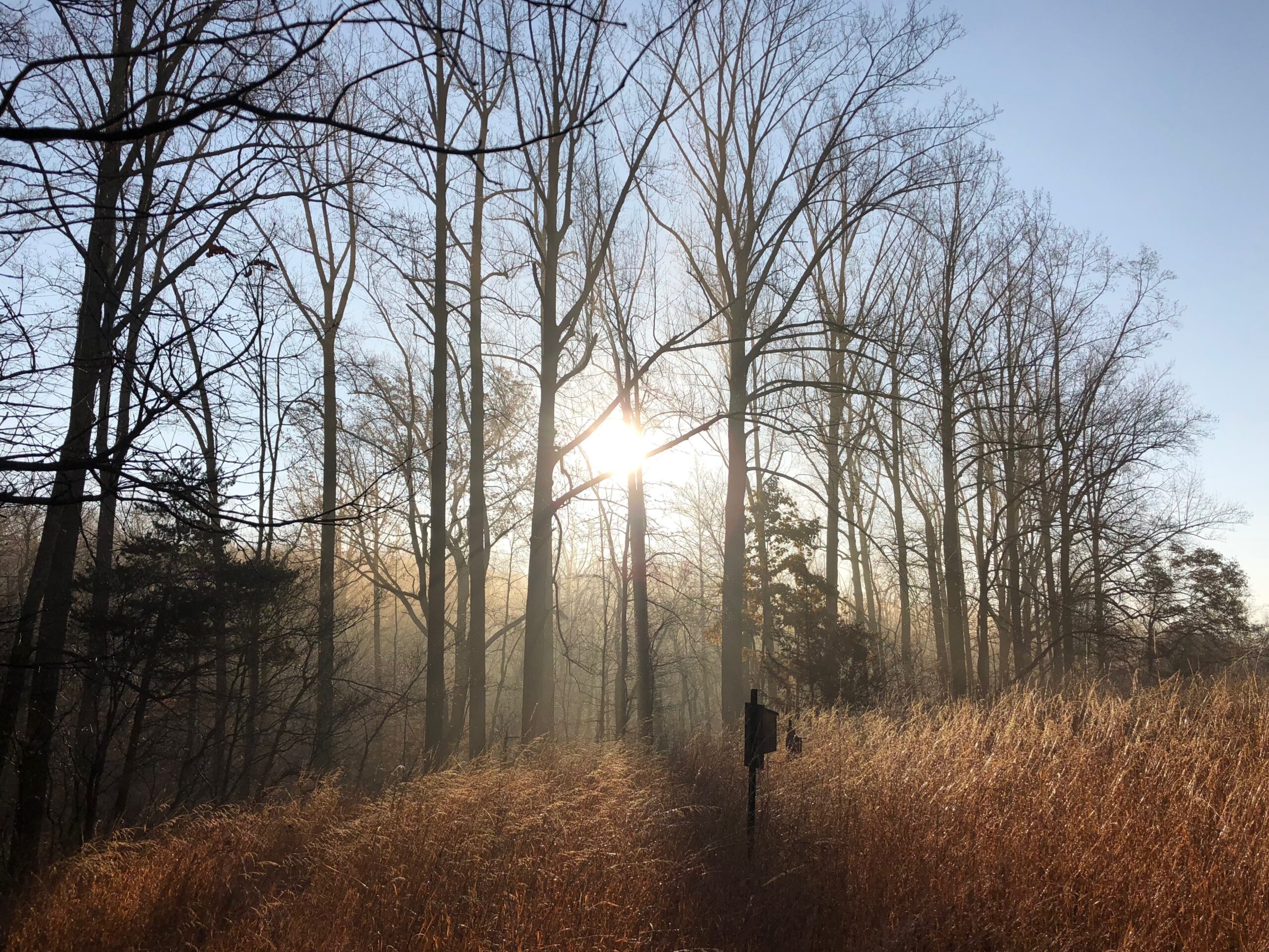 Forest Stewardship Task Force recommends significant steps towards ...