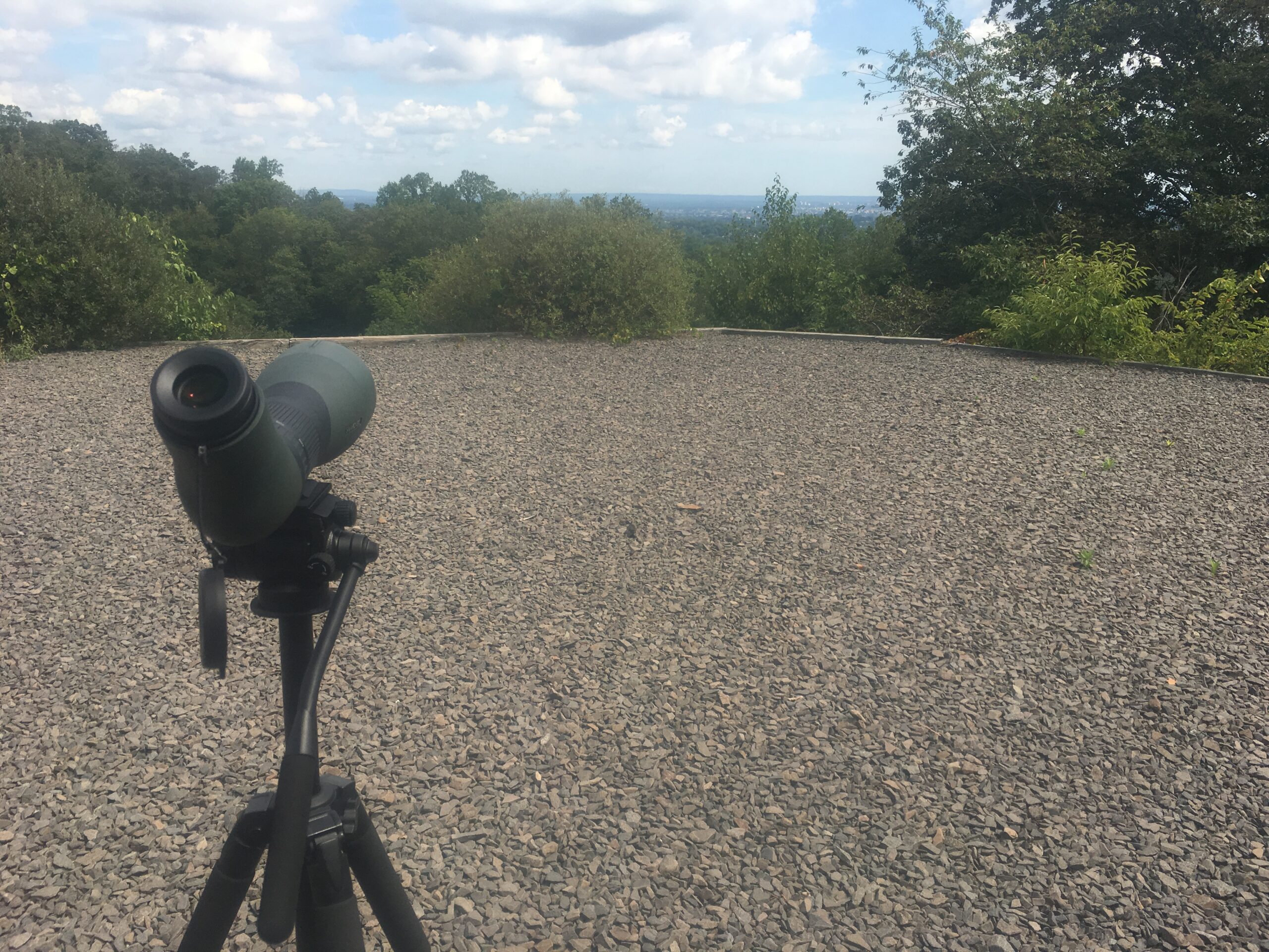 Montclair Hawkwatch Update- October 17th | New Jersey Audubon