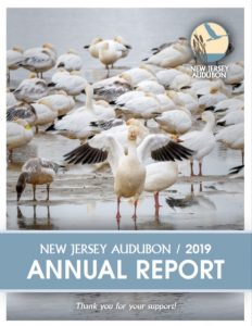 New Jersey Audubon | Making New Jersey a Better Place
