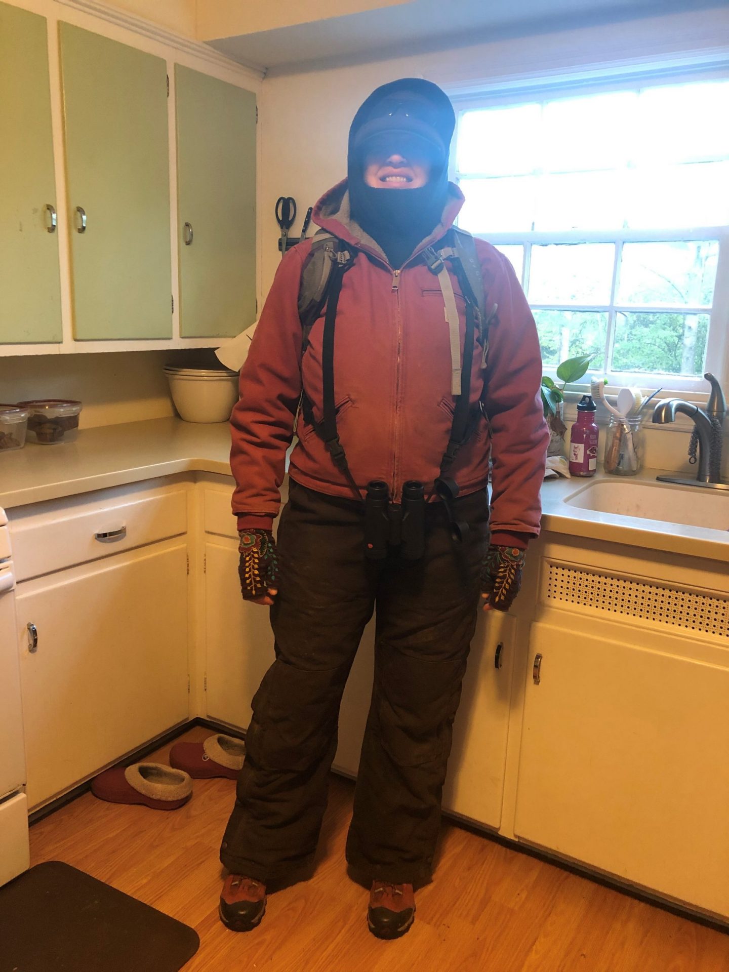 Backyard Creepers Creep into World Series of Birding for the First Time ...