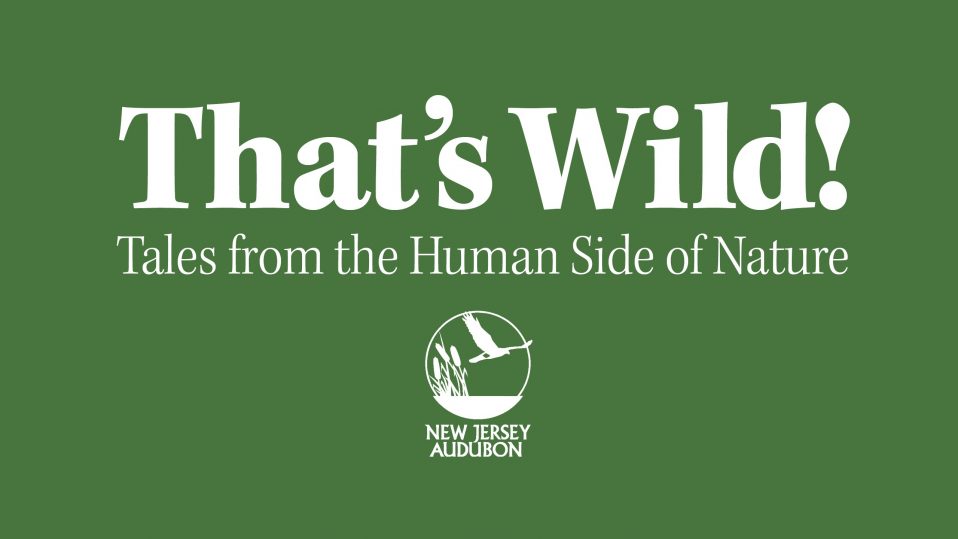 That's Wild! | New Jersey Audubon