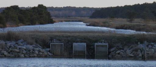 Coastal Impoundments | New Jersey Audubon
