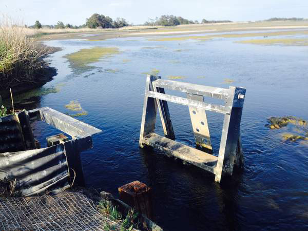 Coastal Impoundments | New Jersey Audubon