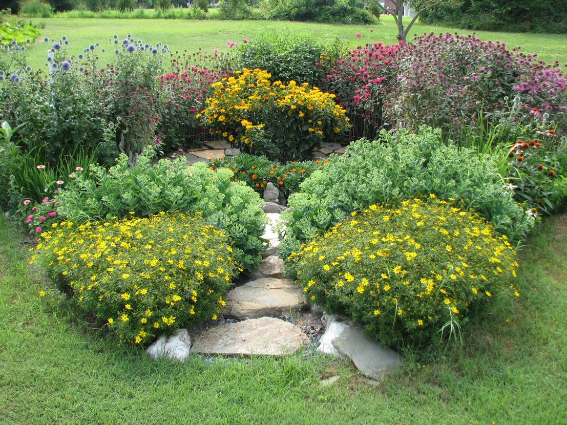 Garden For Wildlife Webinar Series | New Jersey Audubon