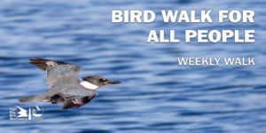 Bird Walk for all People | New Jersey Audubon