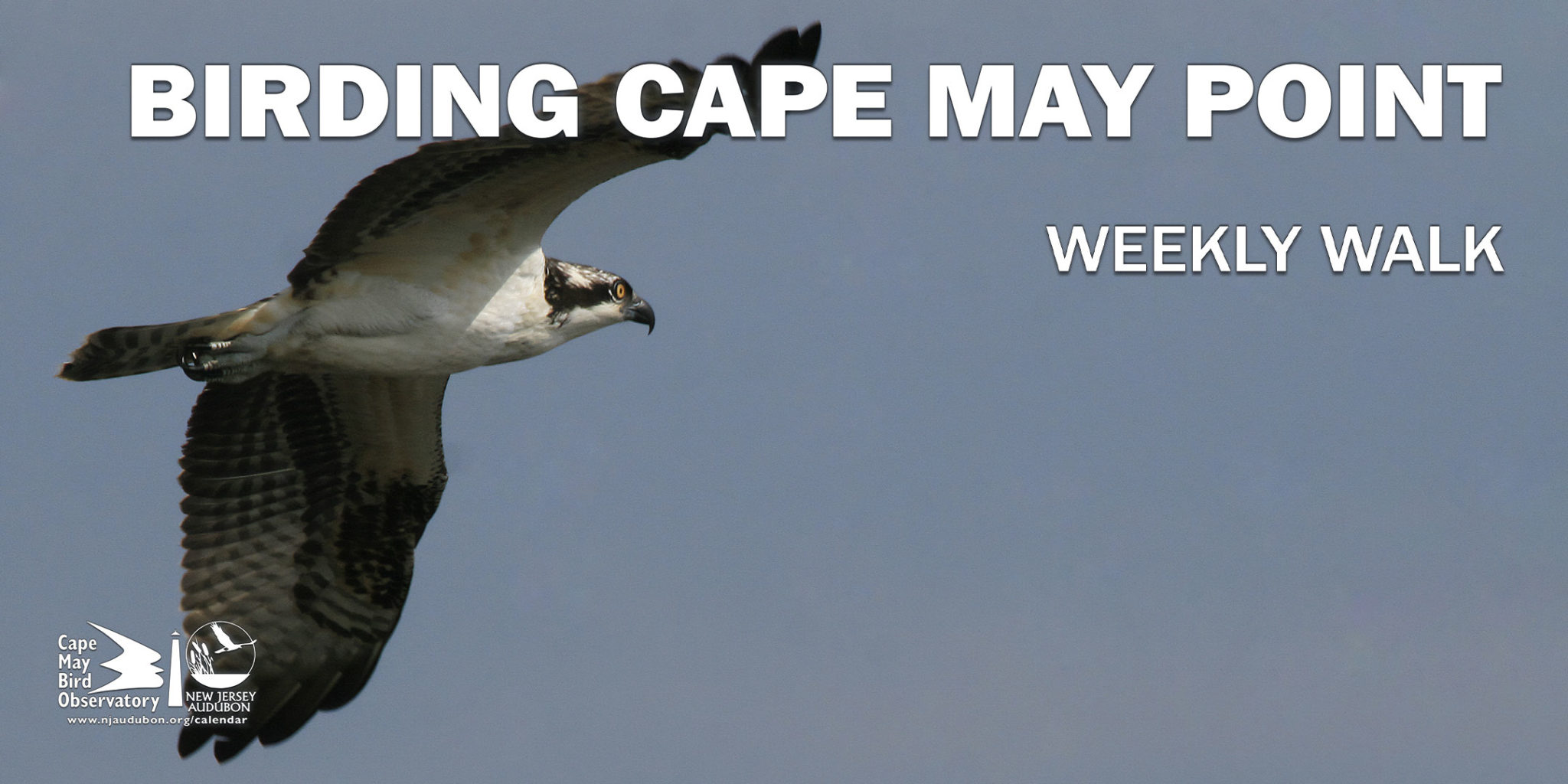 Events for September 2025 › Cape May Bird Observatory’s Northwood ...