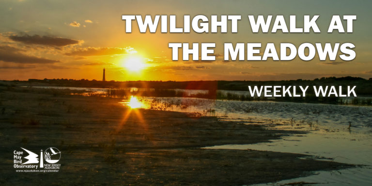 Twilight Walk at the Meadows – October 22, 2025 | New Jersey Audubon