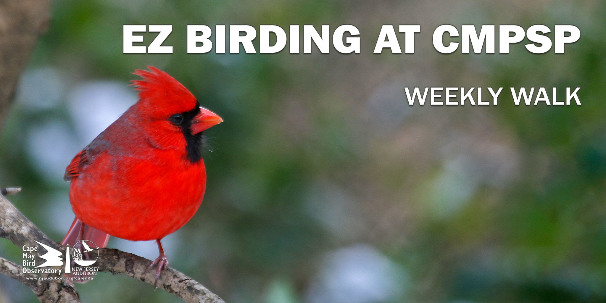 Events for October 2025 › Cape May Bird Observatory’s Northwood Center ...