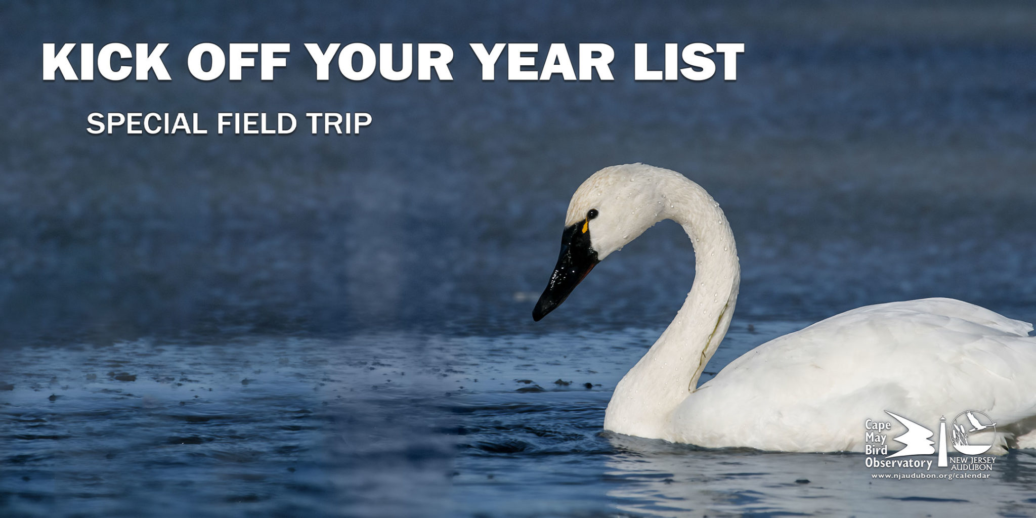 Events for December 2025 › Cape May Bird Observatory’s Northwood Center ...