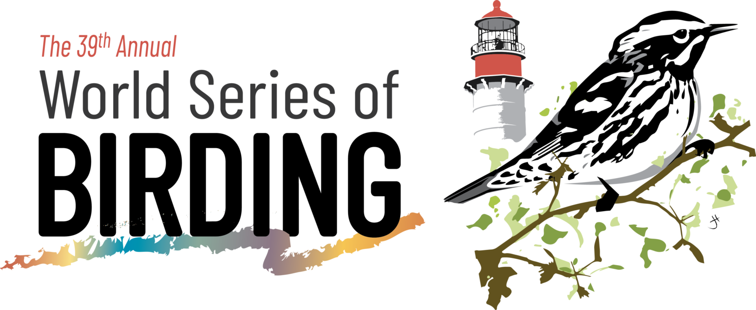World Series of Birding | New Jersey Audubon