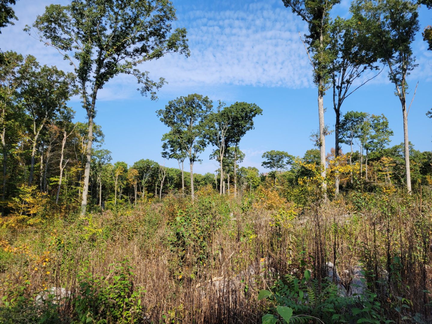 NJ Audubon Conservation Projects Help Hudson Farm win 2021 Governor’s ...