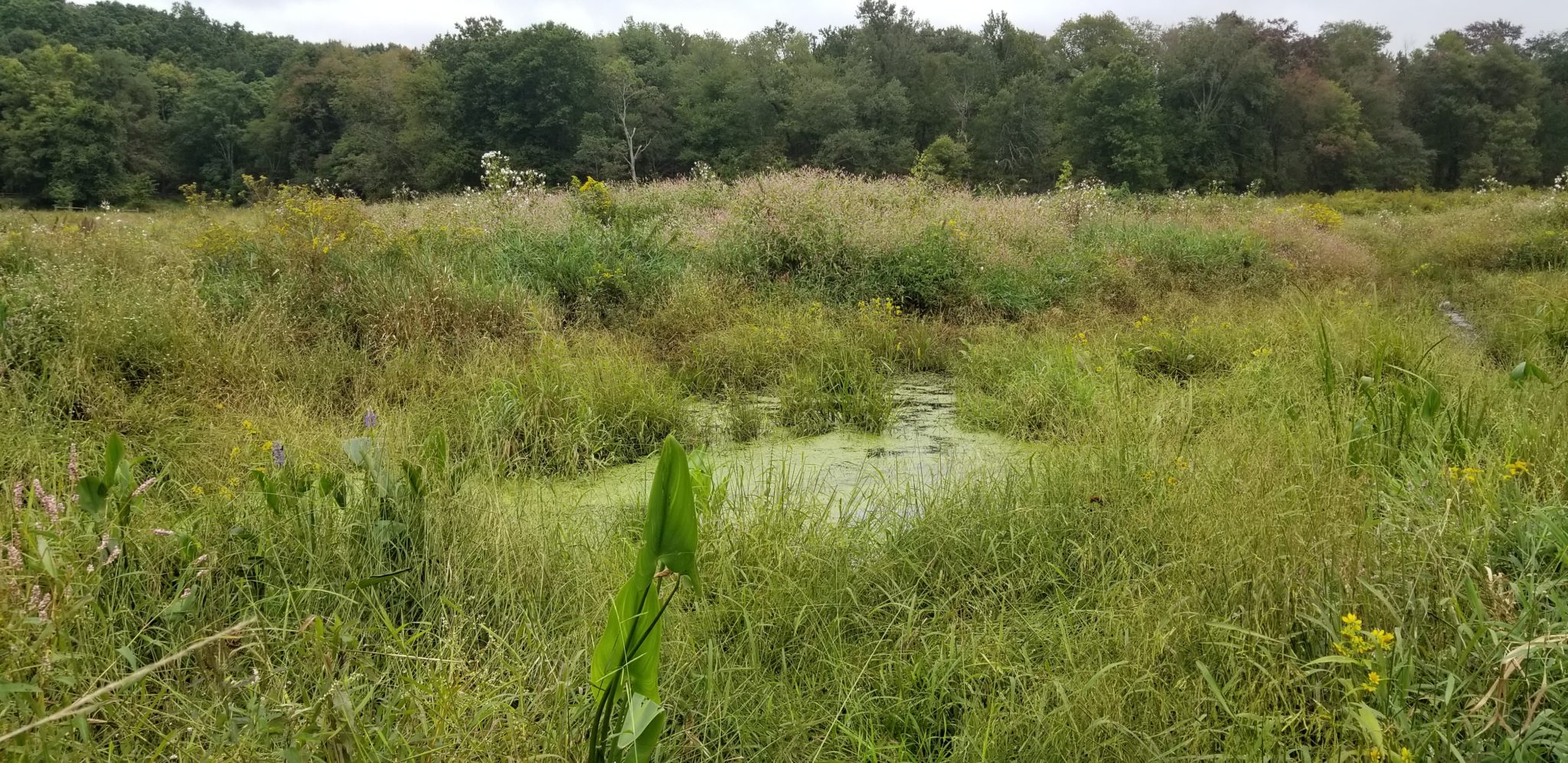 NJ Audubon Conservation Projects Help Hudson Farm win 2021 Governor’s ...