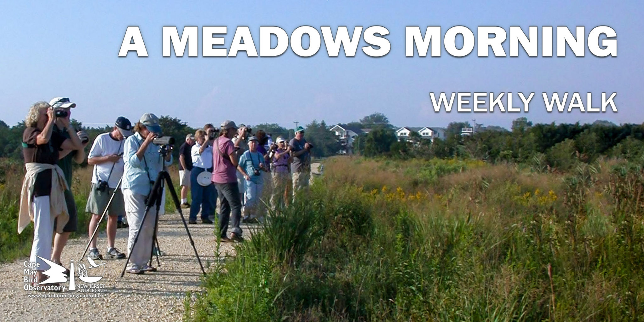 A Meadows Afternoon - July 15, 2022 | New Jersey Audubon
