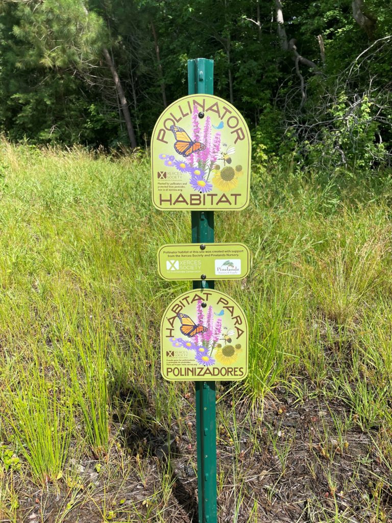 To Plant a Pollinator Garden is to Believe in Tomorrow! | New Jersey ...