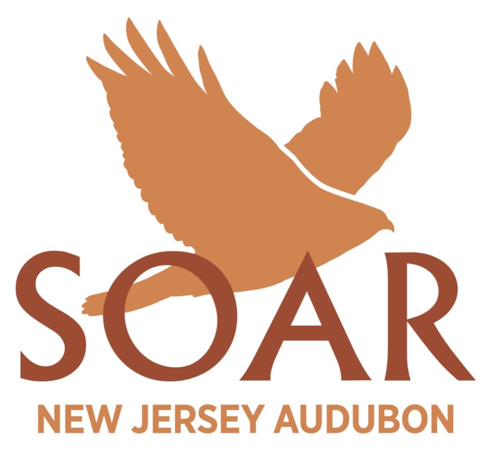 New Jersey Audubon Receives Record Gift | New Jersey Audubon