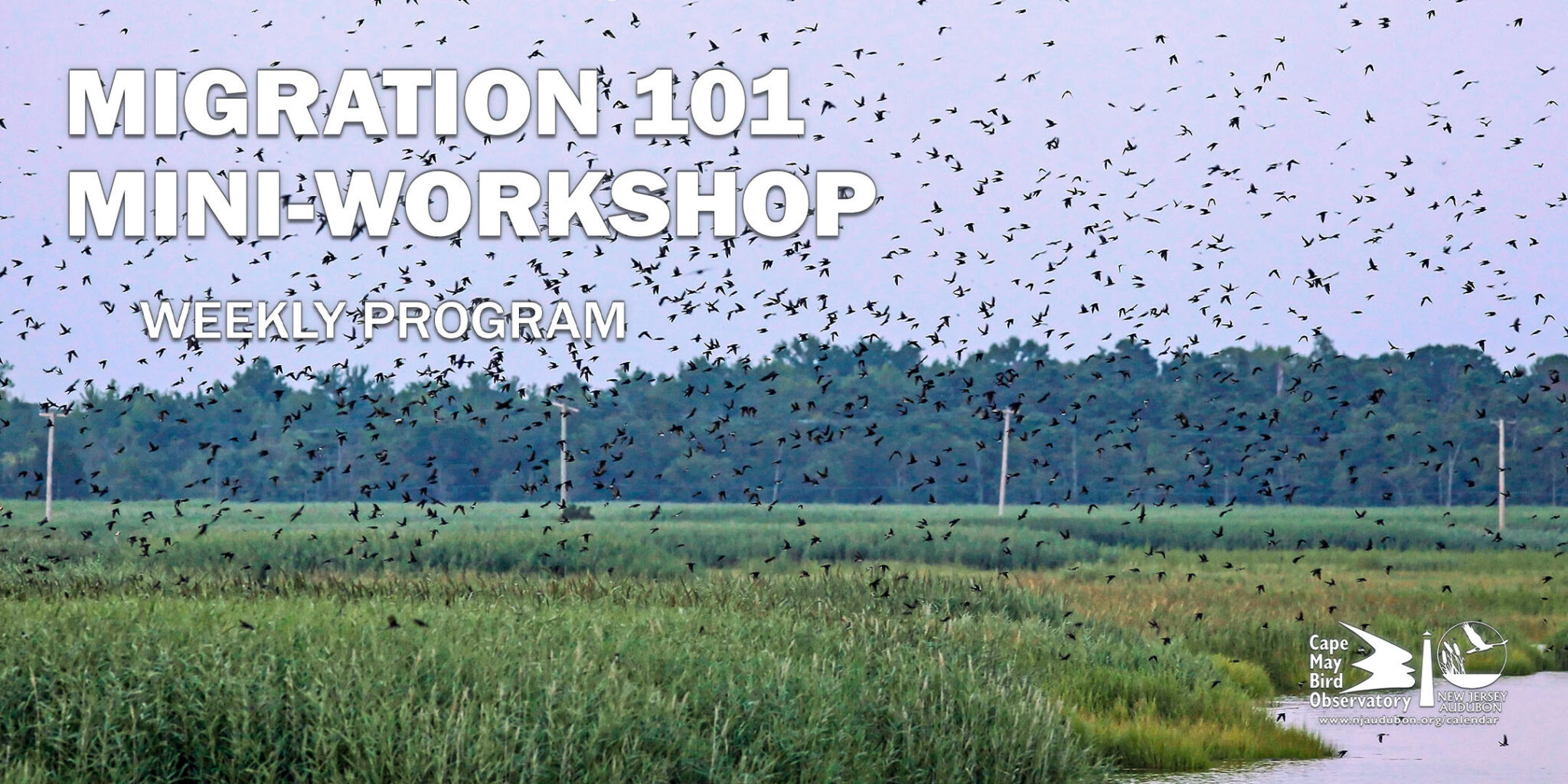 Events for September 2025 › Cape May Bird Observatory’s Northwood ...