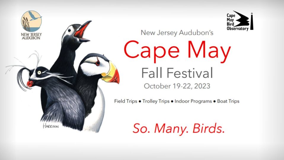 Cape May Fall Festival | New Jersey Audubon