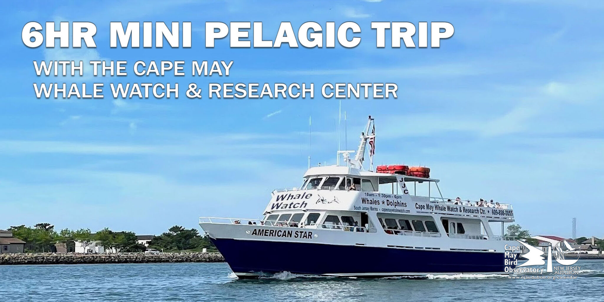6hr Mini Pelagic Trip with the Cape May Whale Watch and Research Center ...