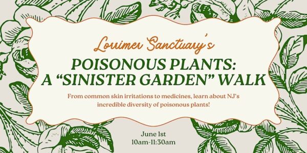 Poisonous Plants - The Sinister Garden Walk | New Jersey Audubon