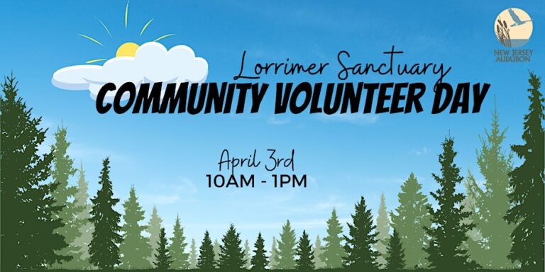 Lorrimer Community Volunteer Day | New Jersey Audubon