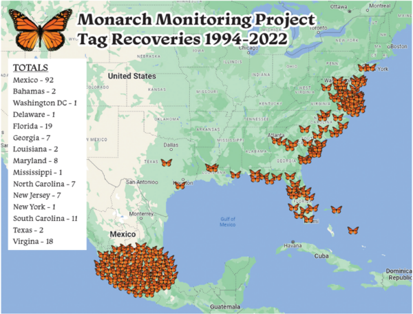 Monarch Monitoring Project | New Jersey Audubon