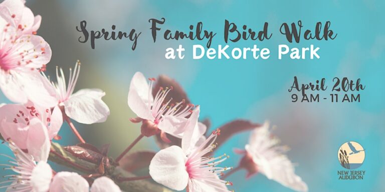 Spring Family Bird Walk at DeKorte Park | New Jersey Audubon