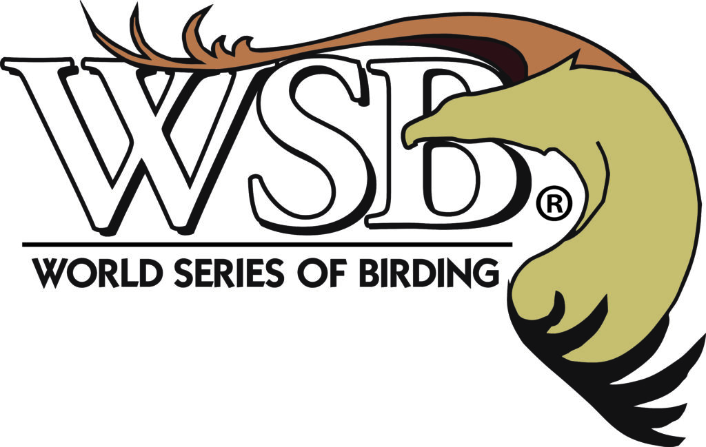 World Series of Birding Wednesdays Returns | New Jersey Audubon