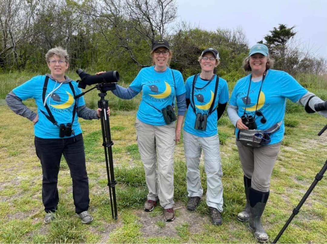 The Raven LunaChicks World Series of Birding Team Highlight | New ...