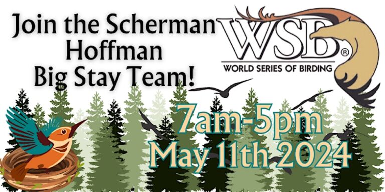 World Series of Birding - Join the Scherman Hoffman Big Stay Team ...