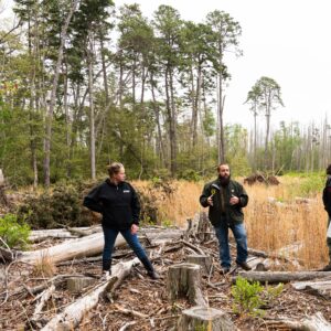 What To Plant | Invasive vs Native | New Jersey Audubon