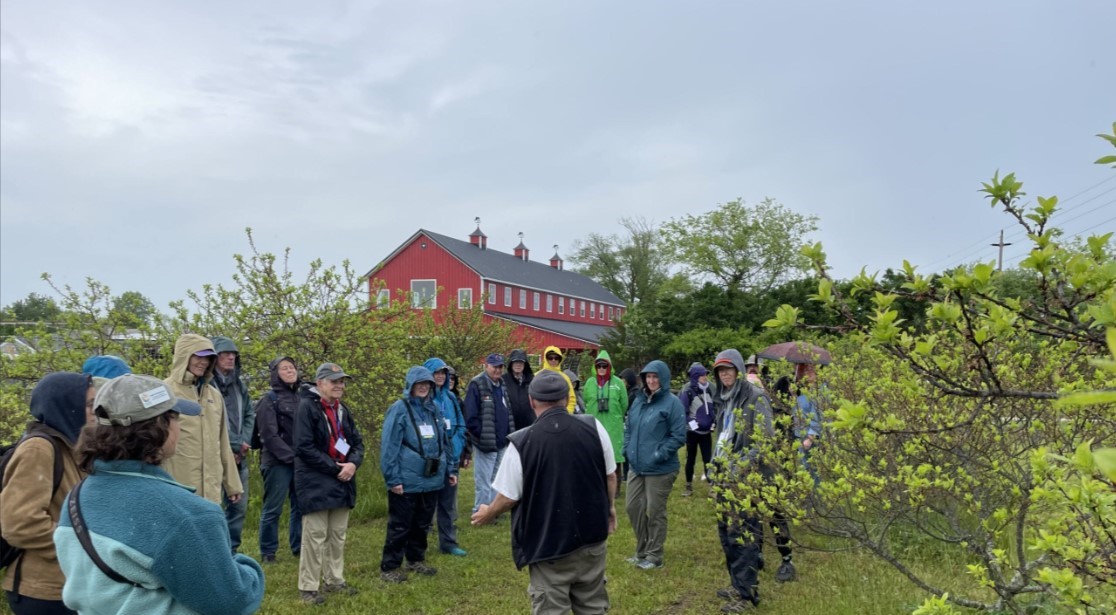 Spring Into Stewardship - Part Three | New Jersey Audubon