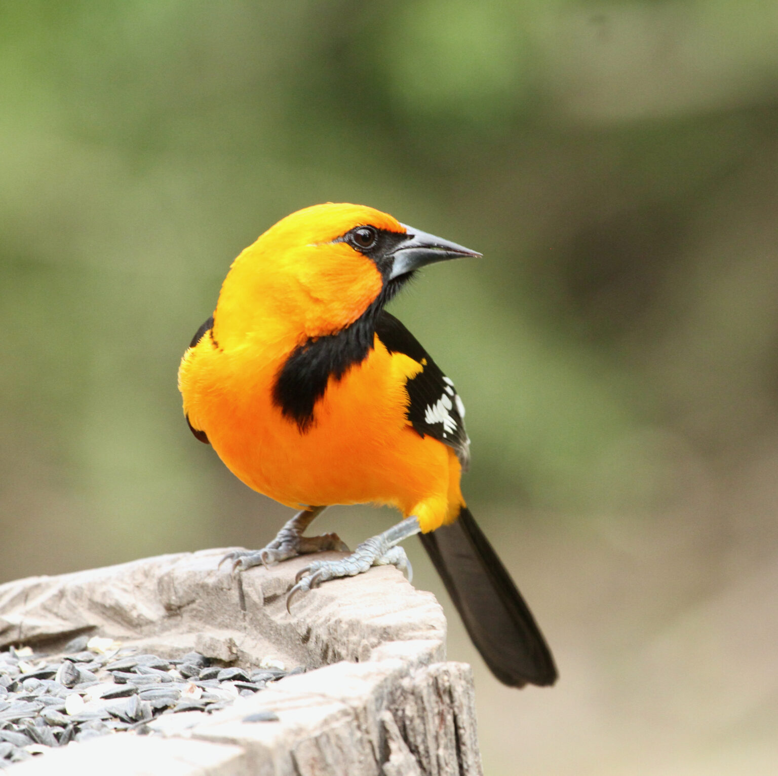 Eco Travel | New Jersey Audubon