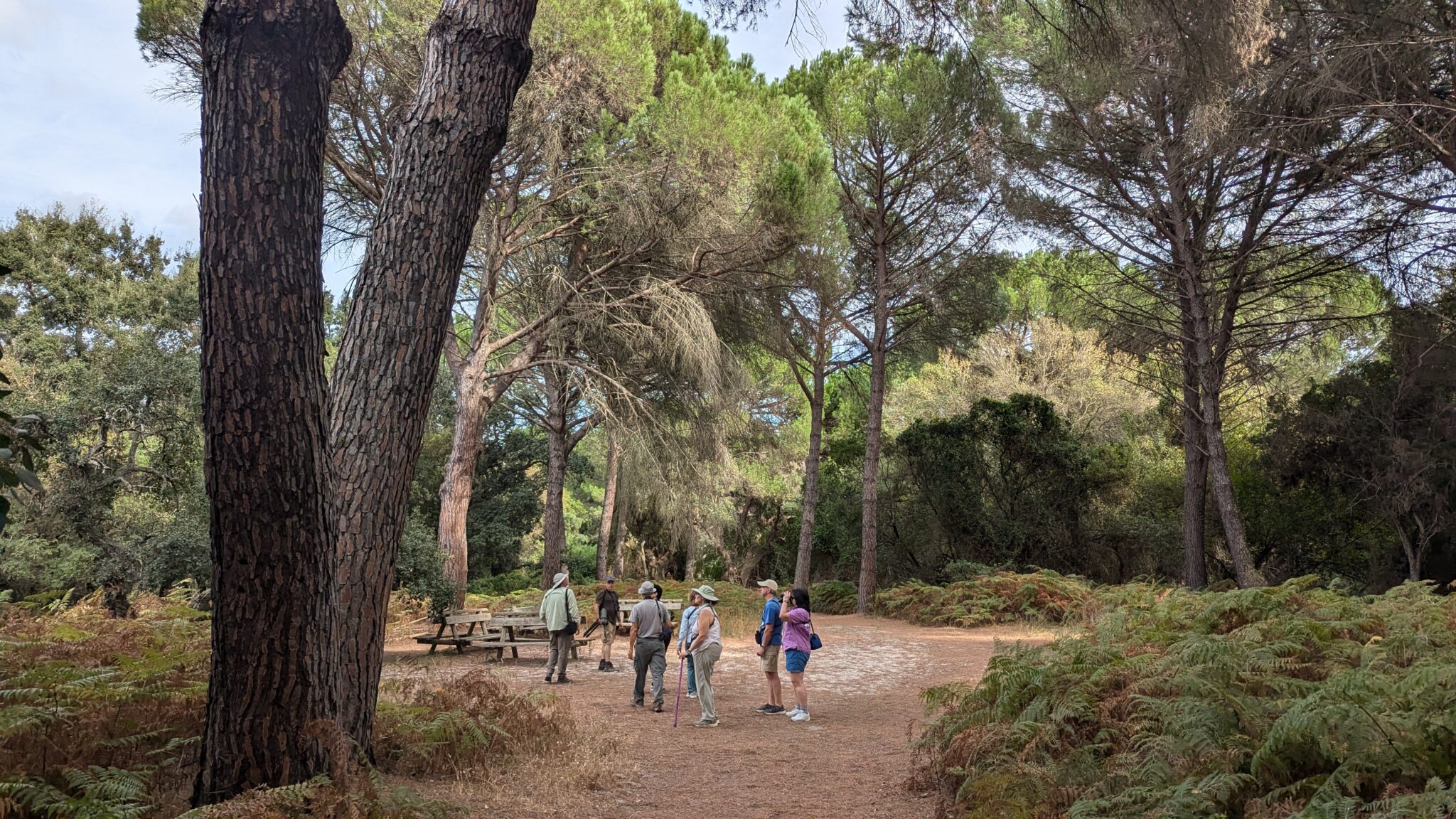 Mink by deduction | New Jersey Audubon