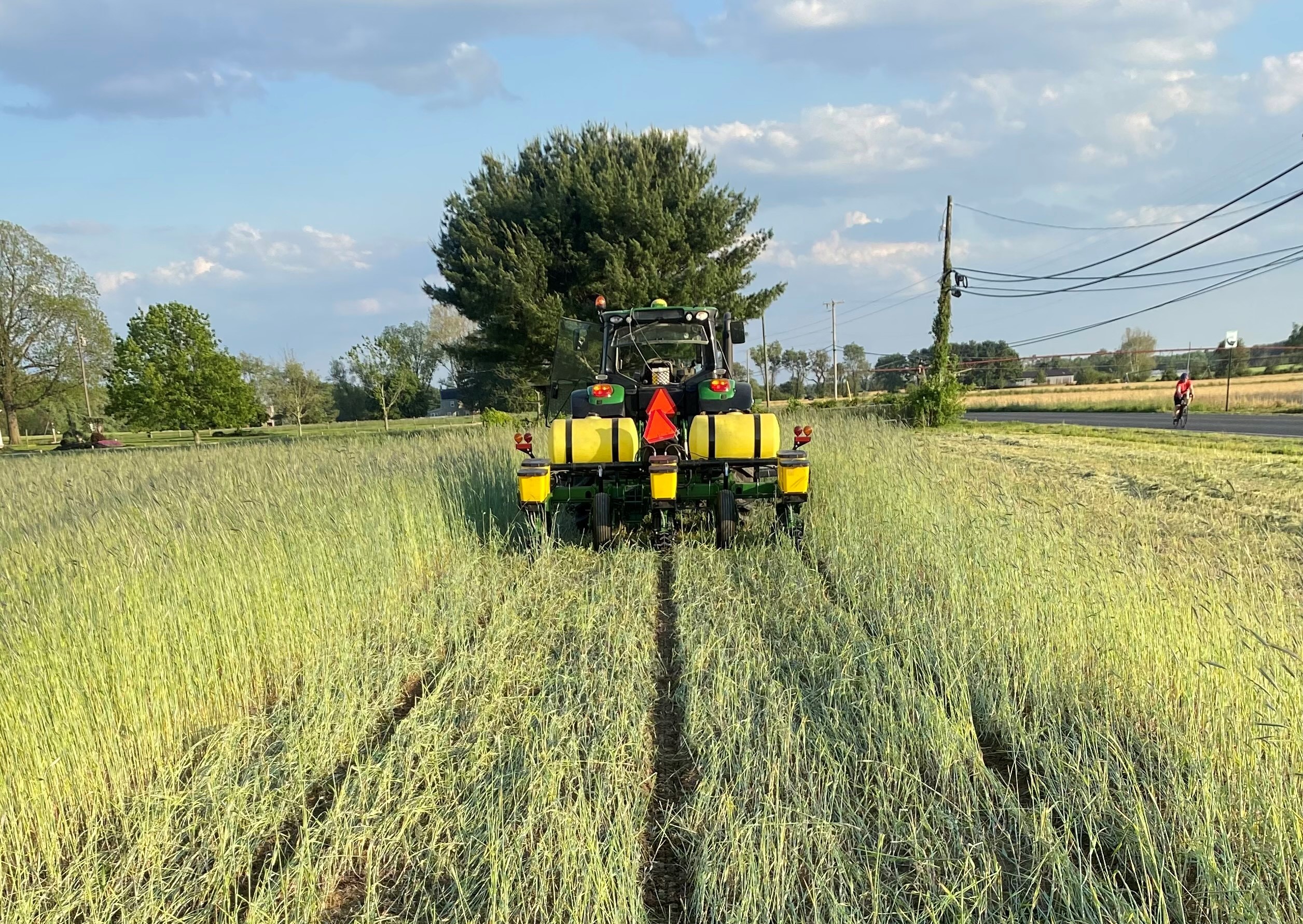 “No-Fallow Field-November”: Cover-Cropping for Conservation | New ...