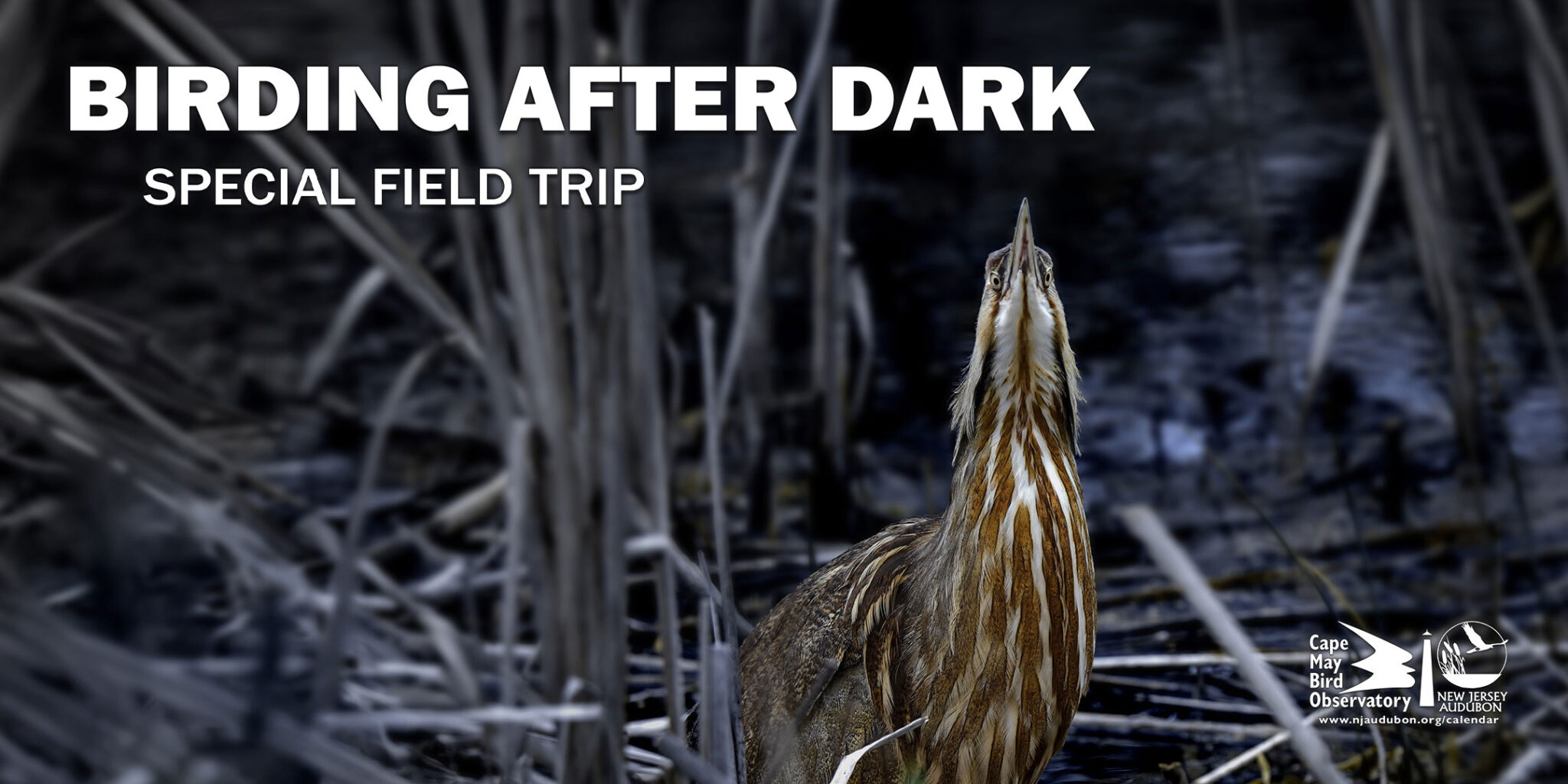 Mink by deduction | New Jersey Audubon