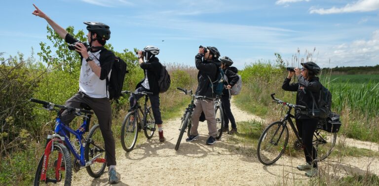 World Series of Birding | New Jersey Audubon