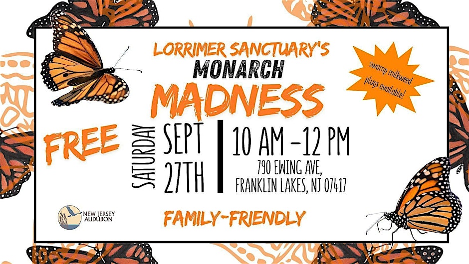 Monarch Madness | New Jersey Audubon